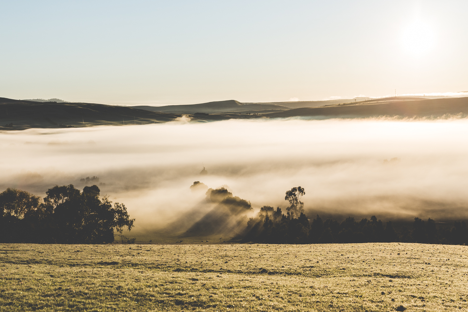 Award winning farmstay accommodation Tasmania, Curringa Farm